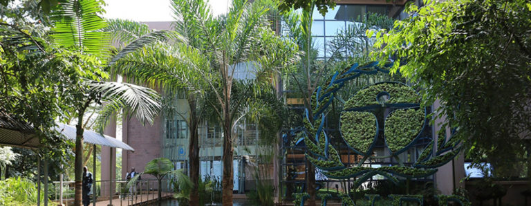 Você conhece o PNUMA? Saiba quais são seus objetivos - Inovar Ambiental